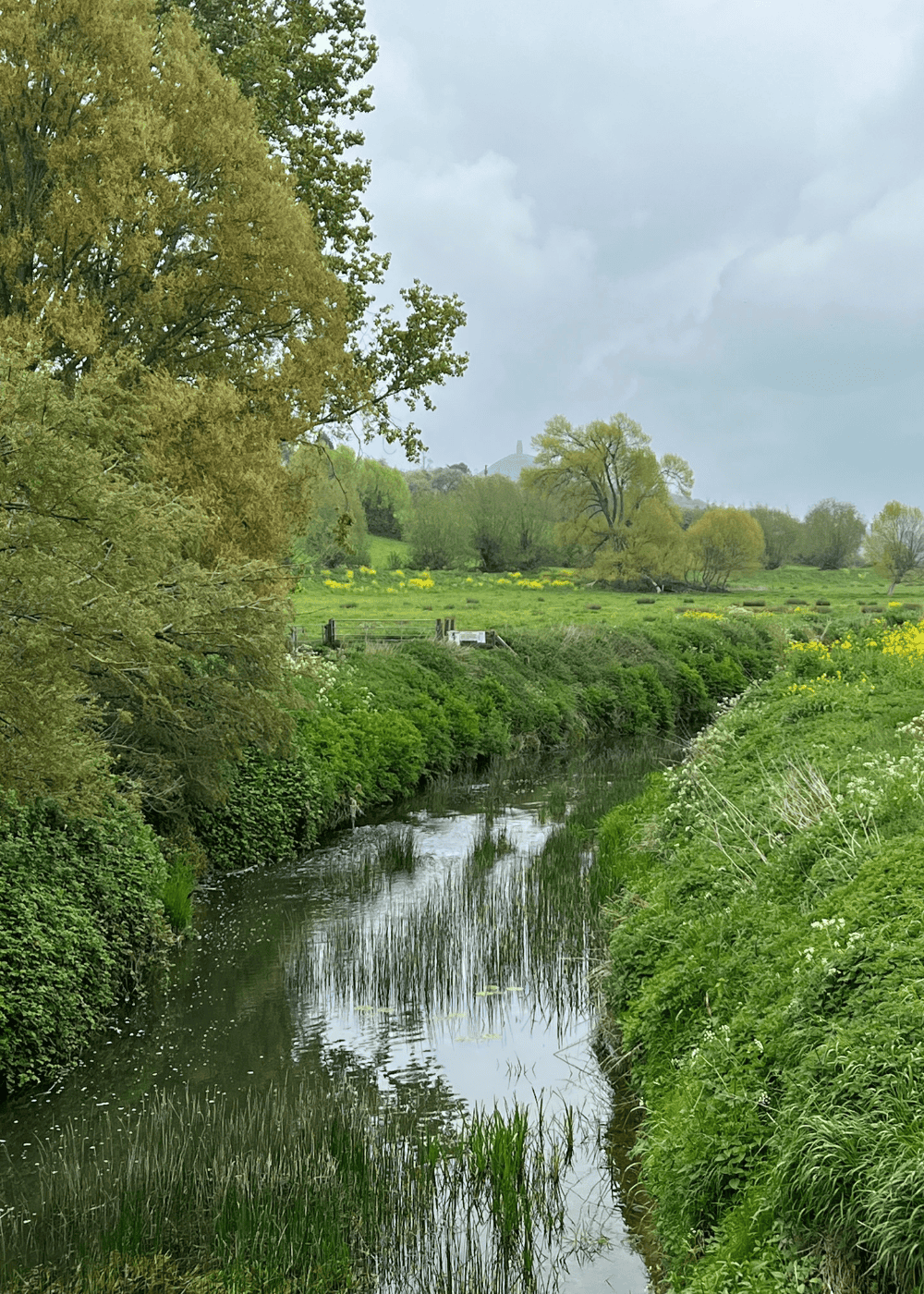 Quietly Conquer | Achieve Your Goals as an Introvert or Low Energy ...